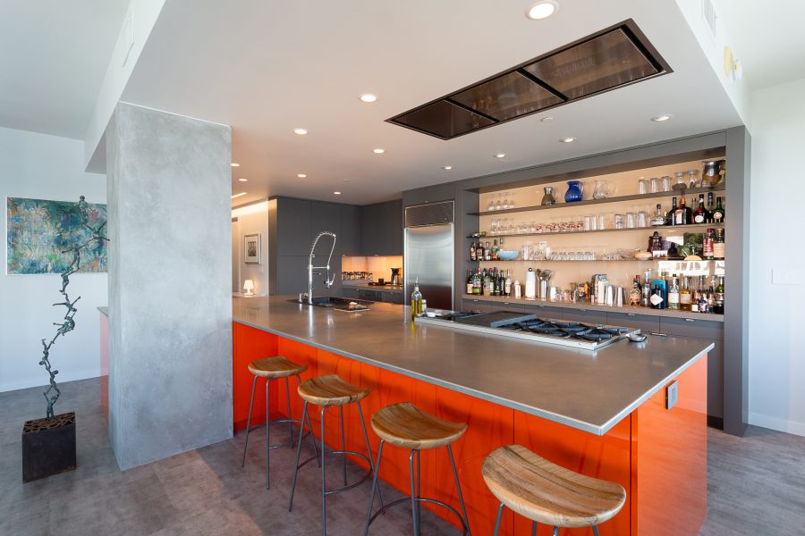 The Vine Condominium Seattle | Colin Brandt, Seattle Architect