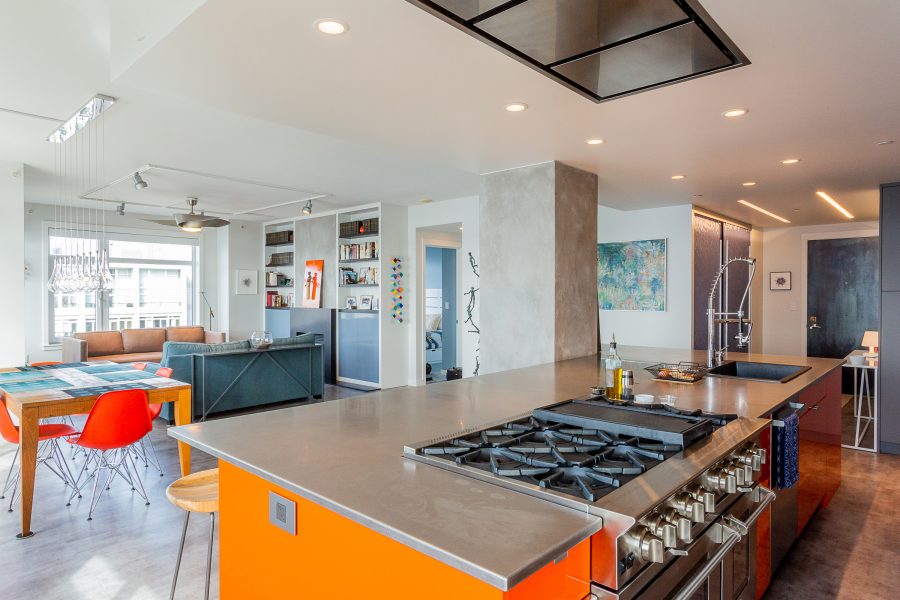 The Vine Condominium Seattle | Colin Brandt, Seattle Architect